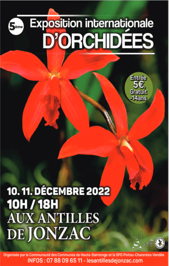 Exposition d’orchidées aux Antilles de Jonzac – 11 et 12 dec. 2022 | F ...