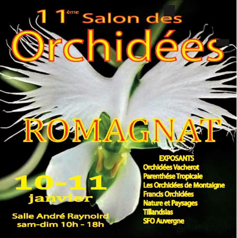 Exposition d’orchidées à Romagnat (63) – janvier 2026 | F.F.O ...